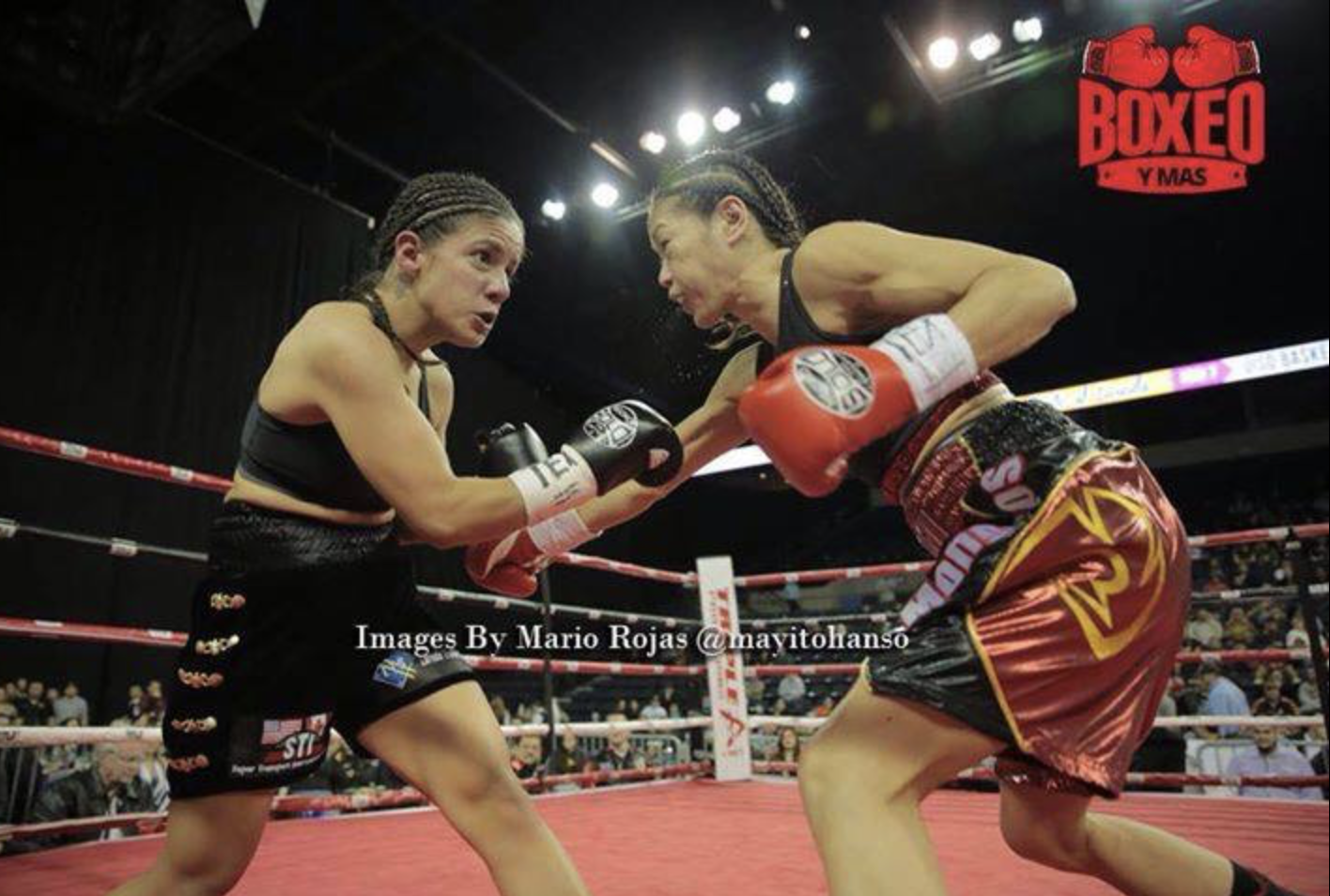 Girlboxing | The wit and wisdom of the ring.
